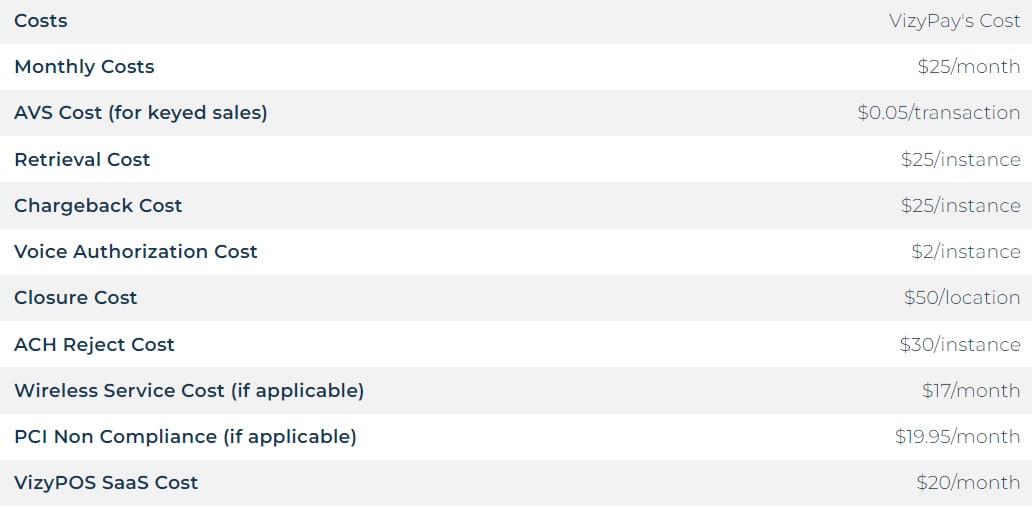 VizyPay Review | Merchant Maverick