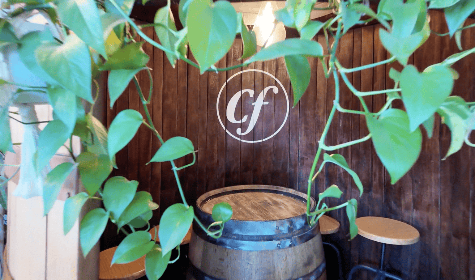 Main Street Mavericks Business Spotlight On Common Fields